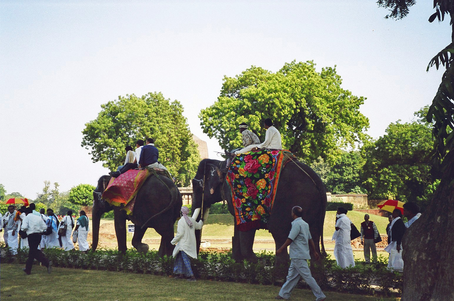 Walking Elephant … Cherita – Genie Nakano