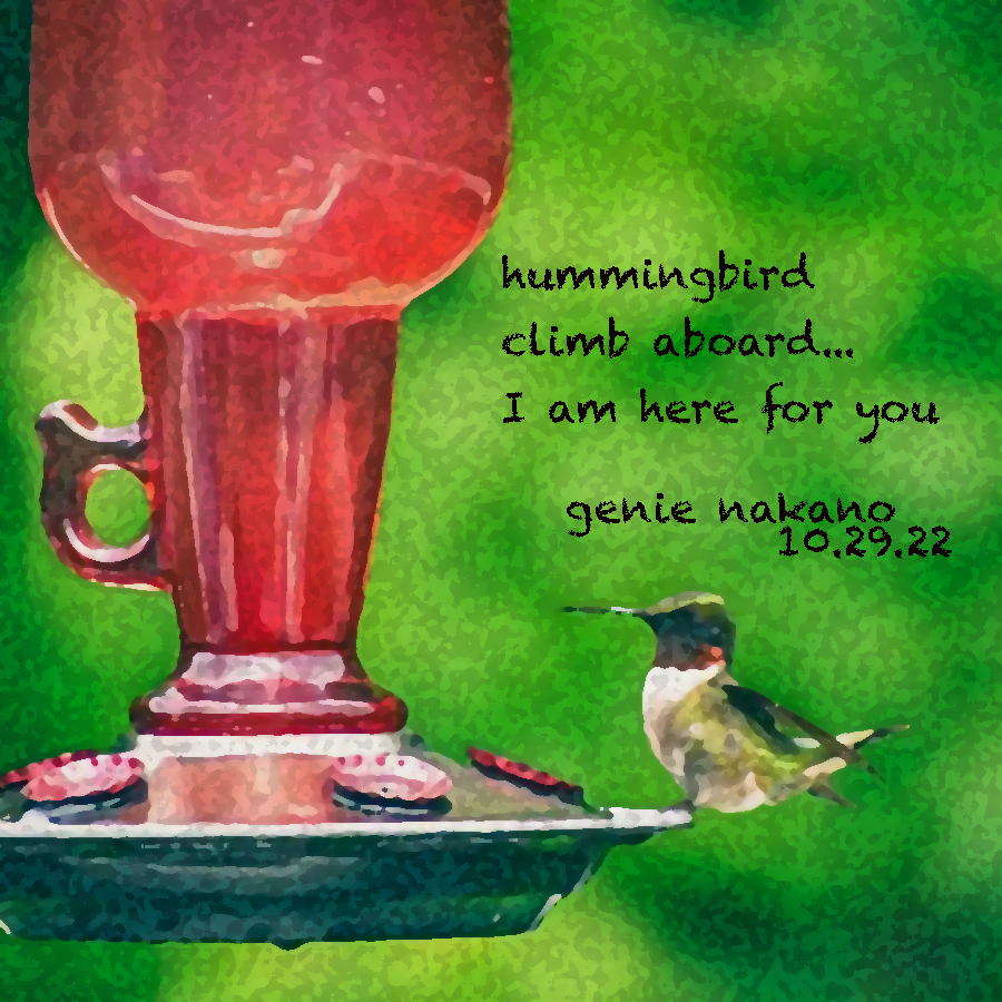 hummingbird~haiku – Genie Nakano
