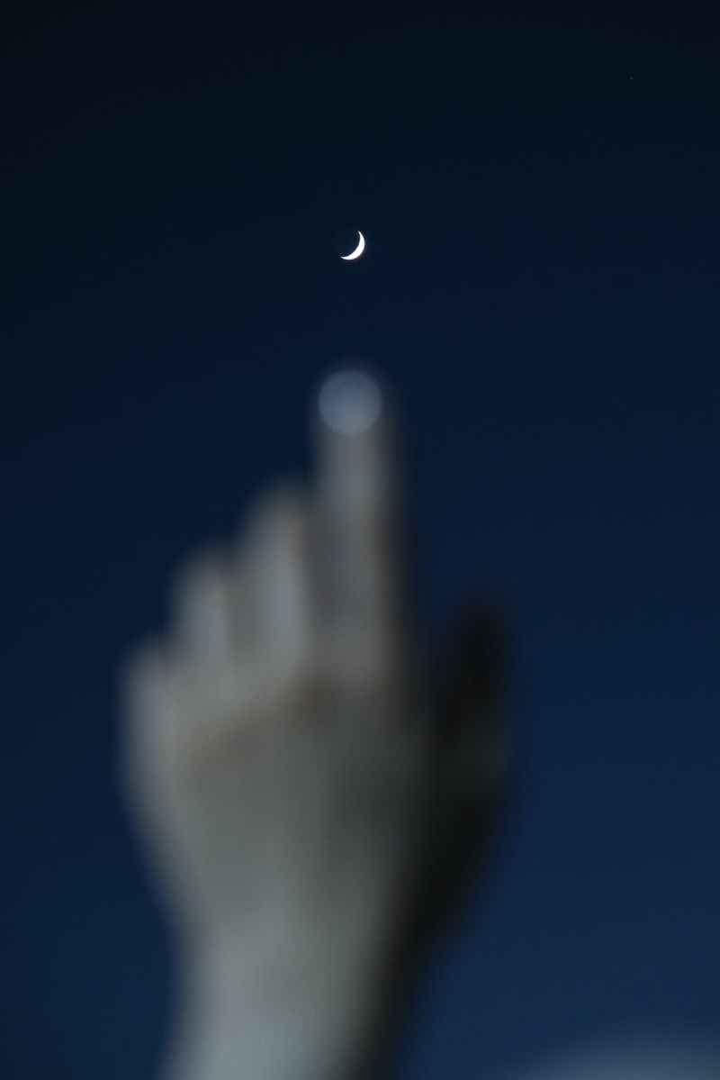 Pointing to the Moon – Genie Nakano